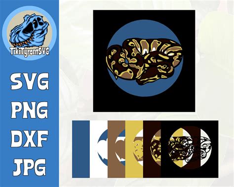 Baby Ball Python SVG D Layered Reptile SVG African Snake SVG Etsy