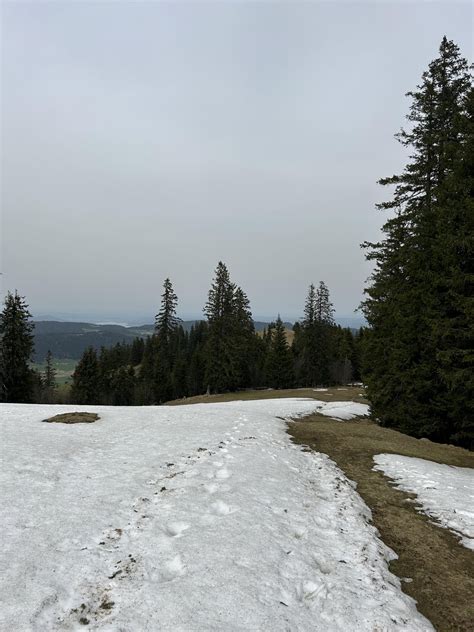 Logical Error Spring Update Failed Rswitzerlandisfake