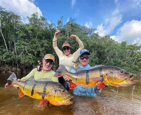 Worlds Biggest Peacock Bass The Amazon Peacock Bass Fishings Mecca