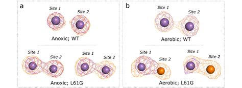 Representative Anomalous Difference Density At The Mn Purple And Fe Download Scientific
