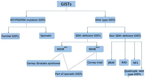 Gist Tumor Treatment Rodesignal