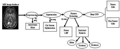 The Block Diagram Of The Introduced Methodology For The Brain Tumour Download Scientific