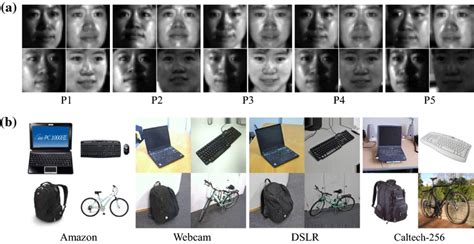 Sample Images From A PIE And B Office Caltech Datasets Download Scientific Diagram