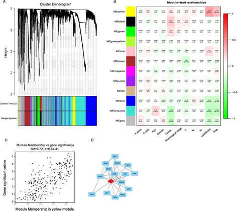 Wgcna Identified Lipid Related Modules Eigengenes A Hierarchical