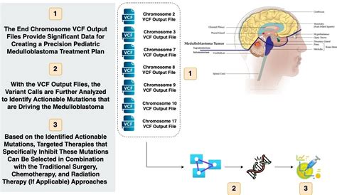 Genomics Secondary Analysis For Precision Medical Approaches So Cal Engineer