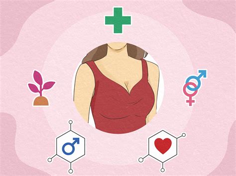 Why Do Men Like Boobs What Science Says