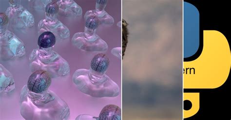 List Pyrhon Curated By Riko Brandes Medium