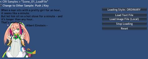 CRIWARE Unity Plugin Manual CriFs Loading A File