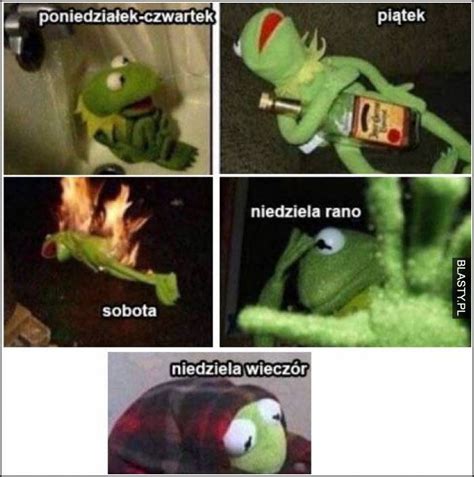 20 Memów Sroda Najlepsze śmieszne Memy I Demotywatory Facebook Sroda