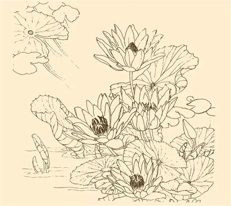 白描素材 高清图片，堆糖，美图壁纸兴趣社区