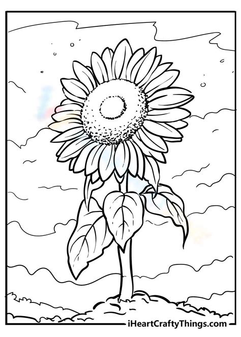 Lovely Sunflower Worksheet