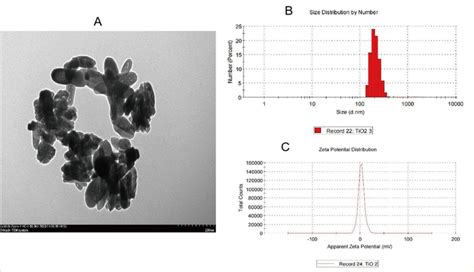 Characterization Of Titanium Dioxide Nanoparticles A Tem Image Of Download Scientific Diagram