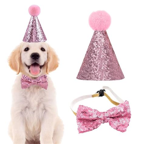 Sombrero De Fiesta De Cachorro
