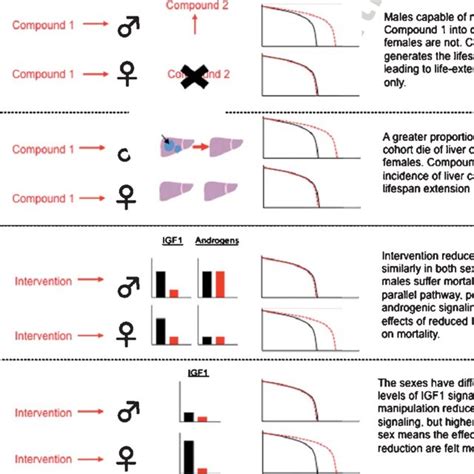 Several Suggestions Of Hypothetical Causes For Sex Specific Responses