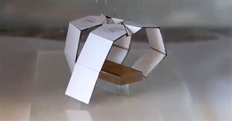 Self Folding Kirigami Robots Will Curl Up In The Face Of Disaster