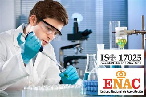 Pruebas De Adn Baratas ¿son Realmente Eficaces