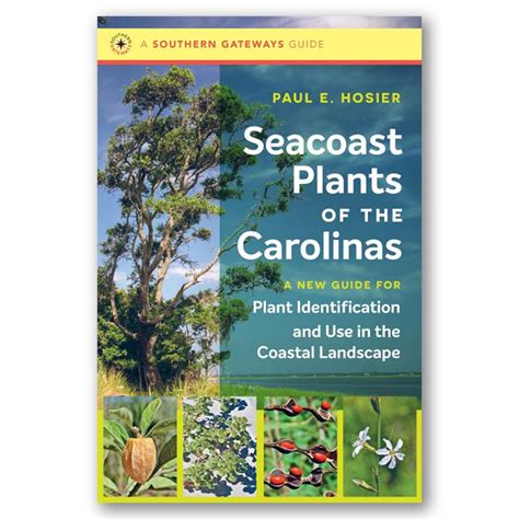 Florida Shrub Identification Guide