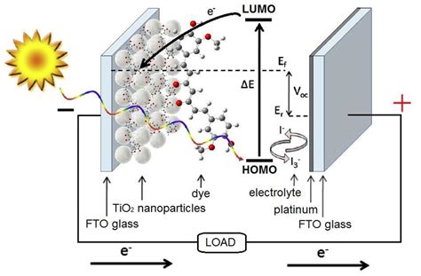 Schematic Structure And Principle Of Operation Of Dssc Download
