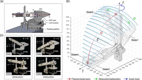 Characterization Of The Bsh‐mcp Joint S Workspace A Schematic Of The