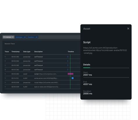 Session Replay New Relic