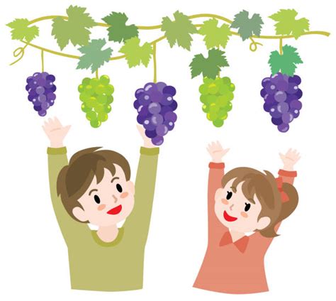 30 Vineyard Girl Stock Illustrations Royalty Free Vector Graphics