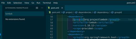 No Extension Found Vscodium · Issue 41 · Microsoftvscode Lombok · Github