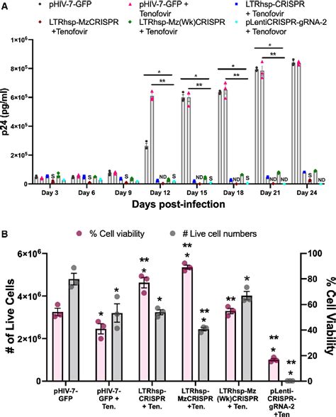 Figure 1 From A Conditional Rna Pol Ii Mono Promoter Drives Hiv