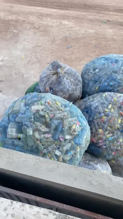 Recycling Sorting Impurityremoval Environmentprotection Walid El Safty