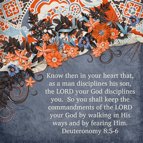 Layout For Today Disciplines His Son