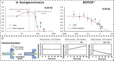 A Dose‐response Curve Of Botox And α‐bt Reproduced With Download