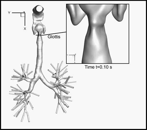 Can Anyone Recommend A Udf For Dynamic Meshing Researchgate