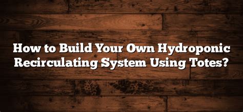 How To Build Your Own Hydroponic Recirculating System Using Totes Inter Culturalu
