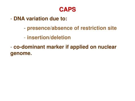 Ppt Caps Cleaved Amplified Polymorphic Sequence Powerpoint