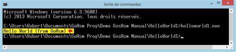 Assembleur 3264 Bits Goasm