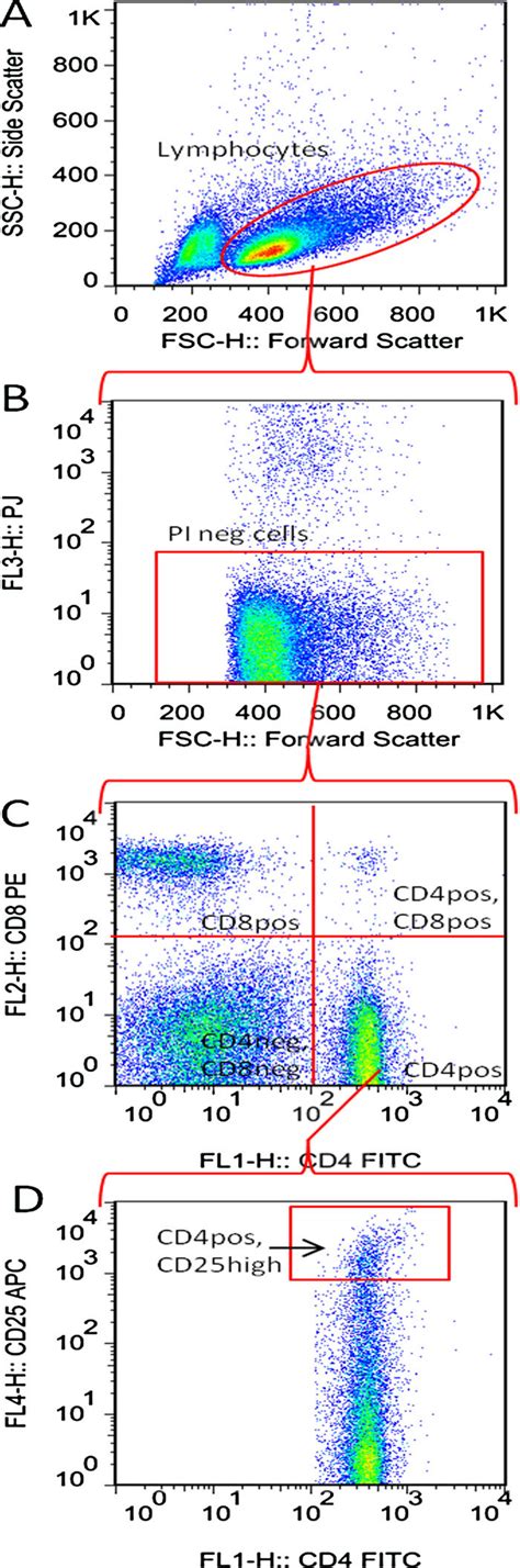 Gating And Selection Strategies Of The Flow Cytometry Data For The