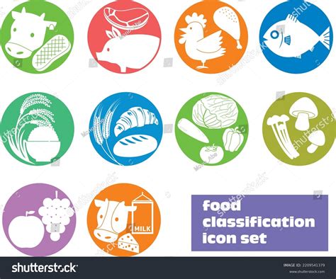 Food Classification Icon Illustration Set Stock Vector Royalty Free