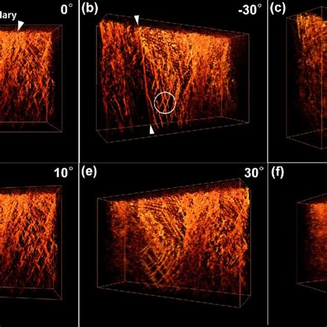 Tilt Series Of Selected Area Electron Diffraction Saed Patterns