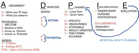Hospice Nursing Adpie Compassion Crossing