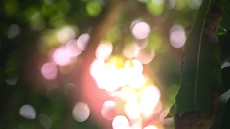 Yeshee Tengur On Linkedin Humansofaccenture Teamaccenture Greenenthusiast Passionproject…