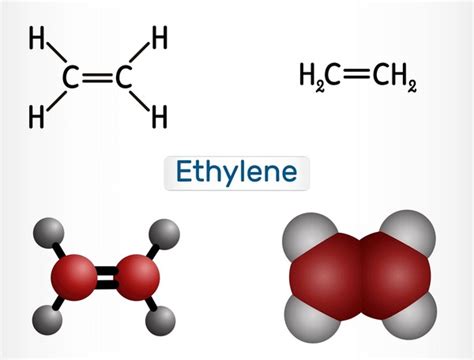 Ethylene Or Ethene Molecule Skeletal Formula Vector Image 43 Off
