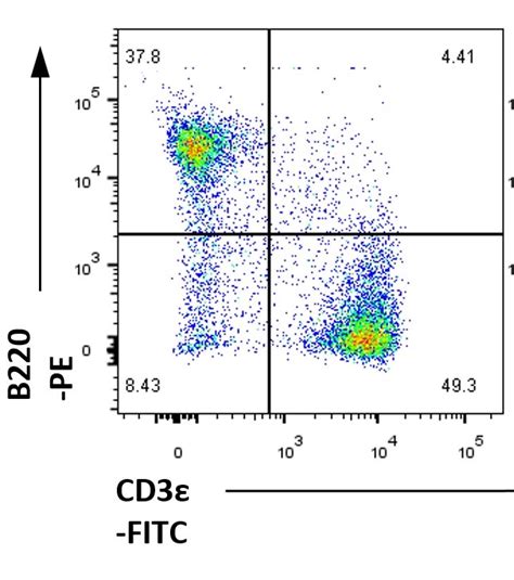M9 Buffer Recipe Infoupdate Wallpaper Images