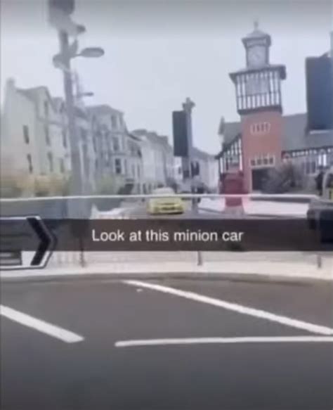 Minion Ca Rule R 196