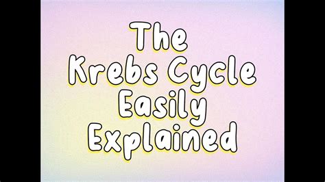 Krebs Cycle Explained In 1 Minute Ib Biology Made Simple Youtube