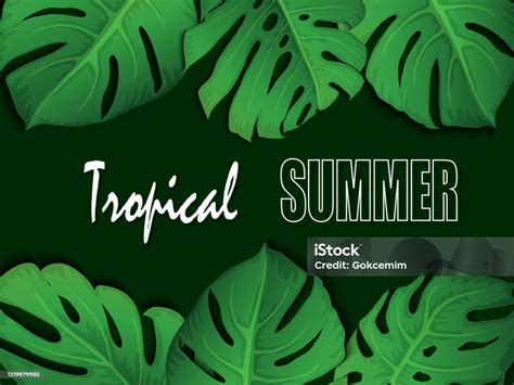 몬스터 잎꽃 열대 여름 배경입니다 이국적인 야자수 잎 여름 열대 잎 배경입니다 파티 전단지 템플릿 필기 문자입니다 판매 배너 야자수 잎 정글 잎과 필기 글자 포스터 계절에