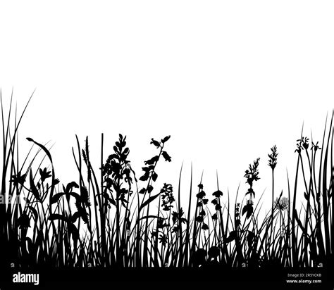 Vector Illustration Grass Background For Design Use Stock Vector Image