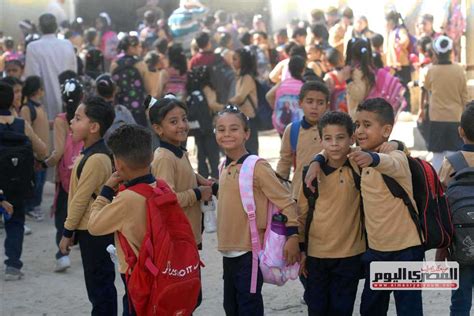 صحيفة المصري اليوم رسميًا رابط منهج العلوم رابعة ابتدائي Pdf