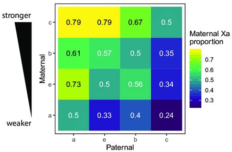 Estimate Of Maternal Xa Proportion Given Parental Xce Alleles From Download Scientific Diagram