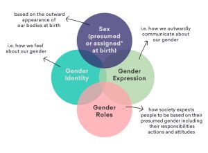 Gender And Sexual Diversity Shine Sa