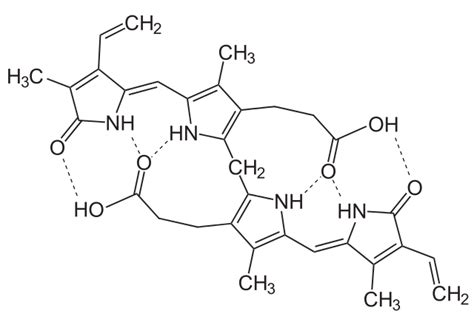 Difference Between Conjugated Bilirubin And Unconjugated Bilirubin