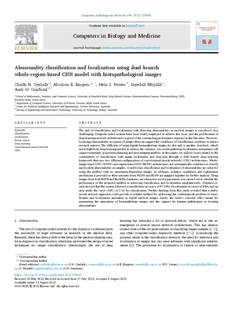 Abnormality Classification And Localization Using Dual 2022